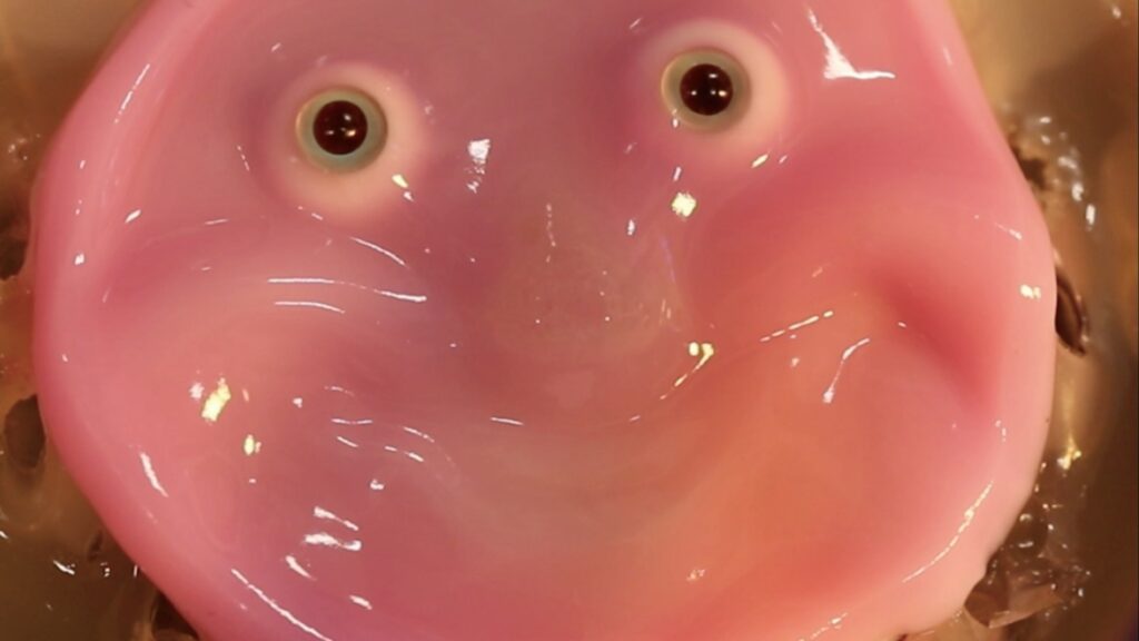 Watch the chilling moment world's first robotic face made from human ...